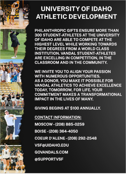 Vandal Scramble | Auction Frogs